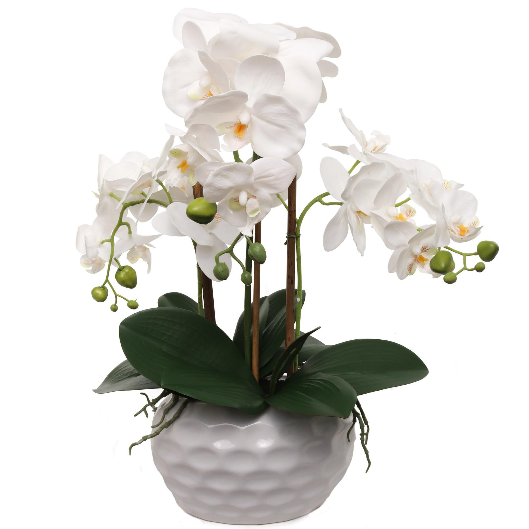 Hokku Designs 8-pack White Phalaenopsis Orchids | 19" Faux Floral Arrangements In Dimple White ...